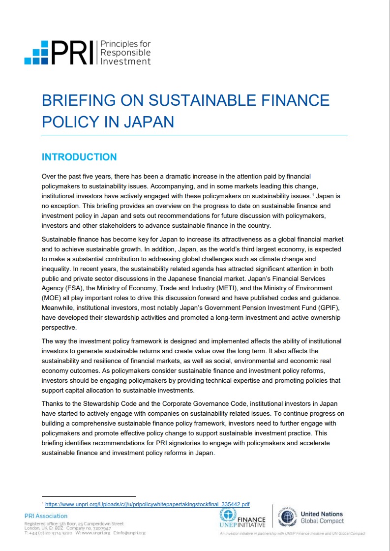Sustainable finance policy briefing | United Nations